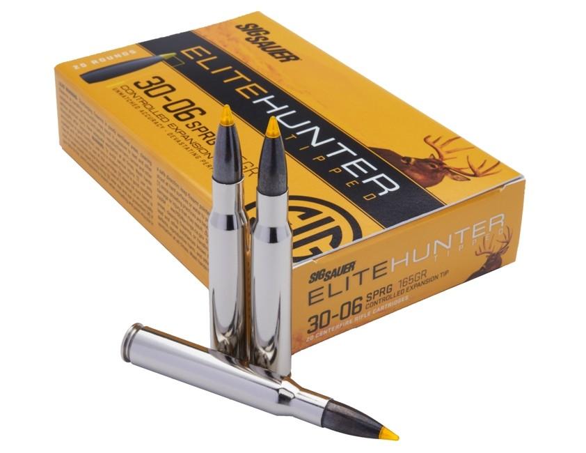 Elite Hunter Ballistic Tip 165 gr 30-06 Springfield Rifle Ammo - 20 ...