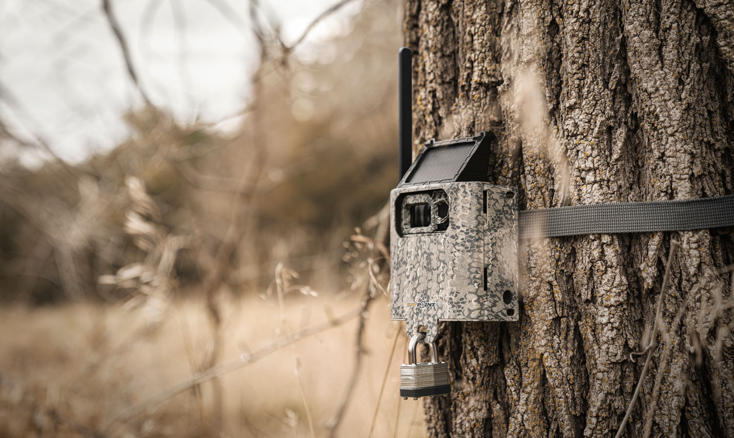 Link Series Steel Security Box - Camo | The Real Grit