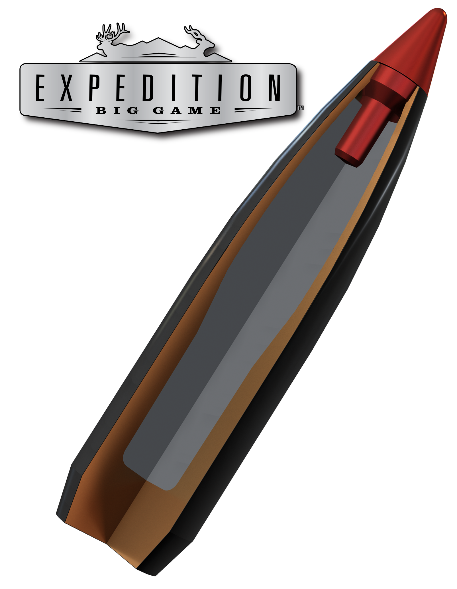 Expedition Big Game AccuBond Long Range 150 gr 270 Winchester Rifle ...