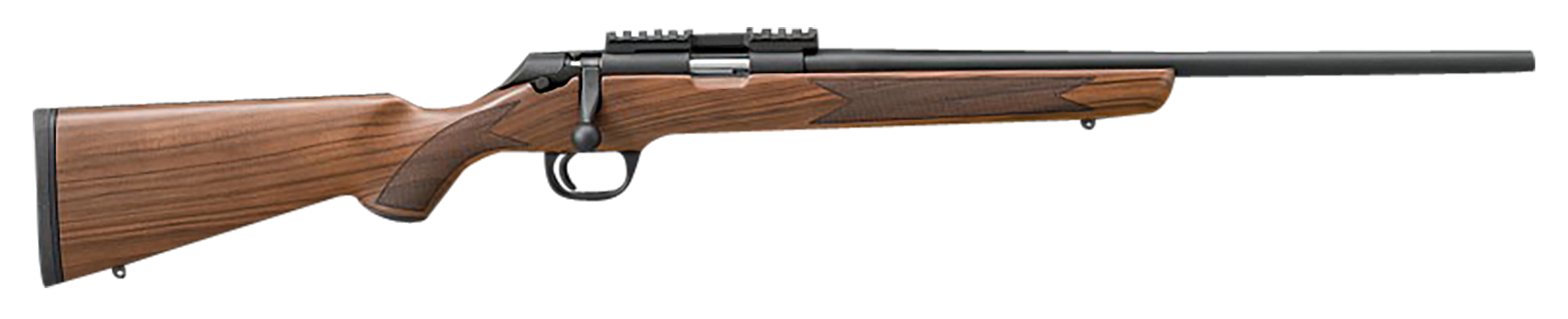 Model 2020 Rimfire Classic 20" 10 Round 22 Long Rifle Bolt Action Rifle ...