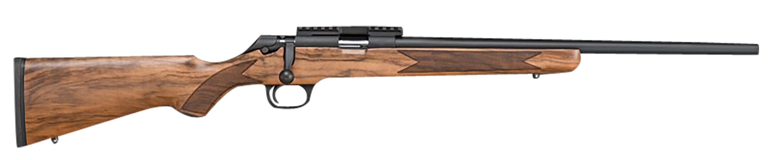 Model 2020 Rimfire Classic 20" 10 Round 22 Long Rifle Bolt Action Rifle ...