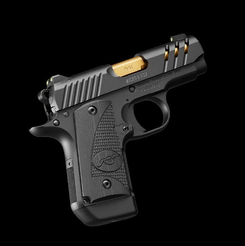 Kimber Micro 9 ESV 9mm Pistol 7 Round Compact | The Real Grit
