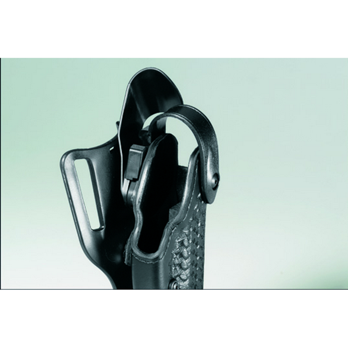 Model 6006-2 ALS Guard | The Real Grit