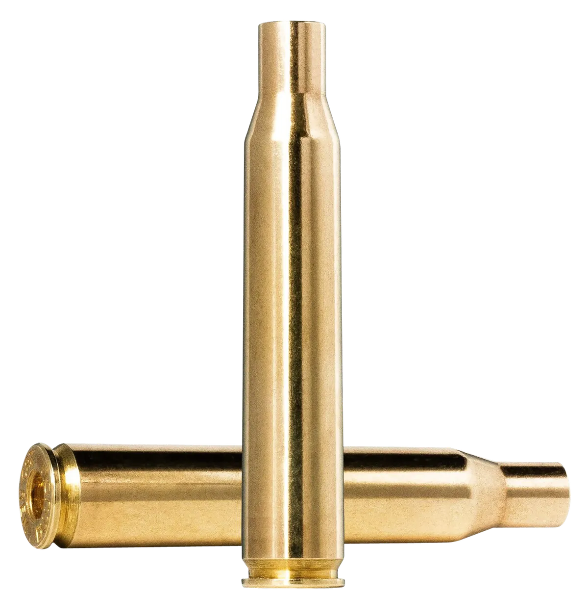 Unprimed Brass 300 PRC Rifle Reloading Cases - 50 Round Box | The Real Grit