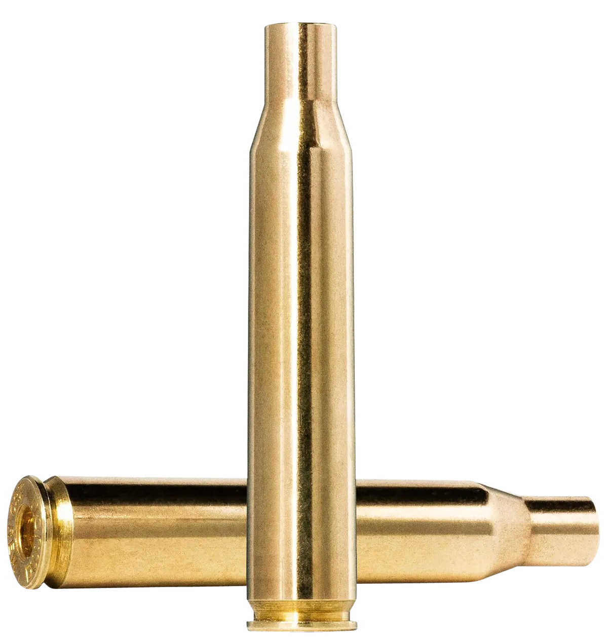 Unprimed Brass 300 PRC Rifle Reloading Cases - 50 Round Box | The Real Grit