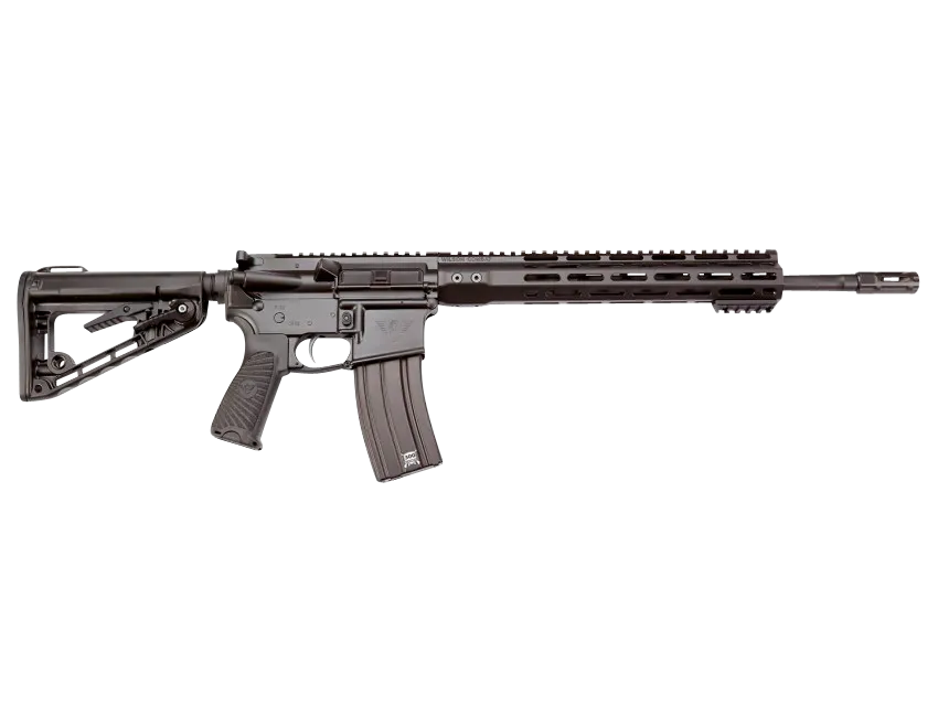 Protector Elite Carbine 16.25" 30 Round 300 AAC Blackout AR Style Semi ...